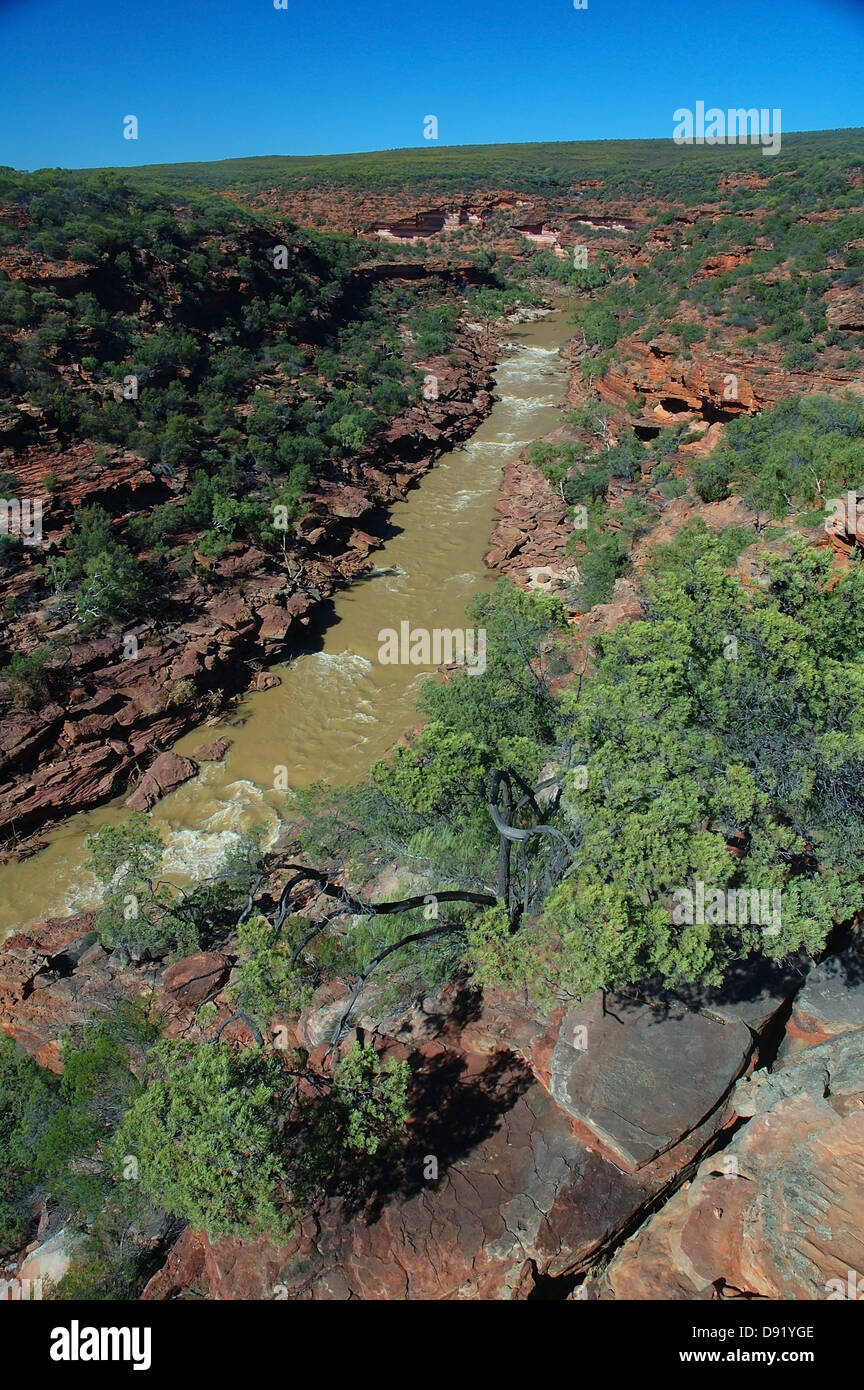 Murchison River flowing through red rock gorge at the Z bend, Kalbarri ...