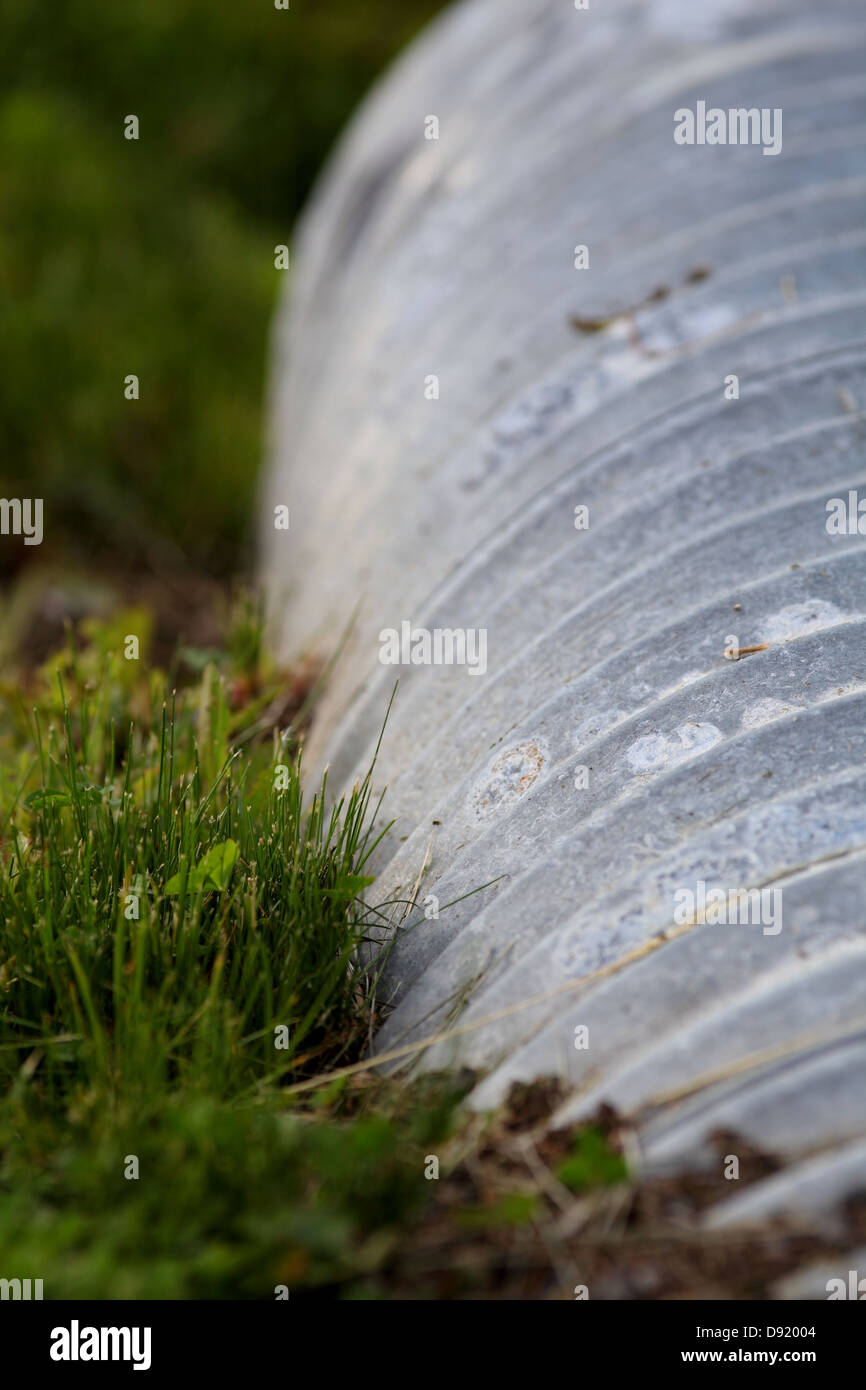 Pipe grass hi-res stock photography and images - Alamy