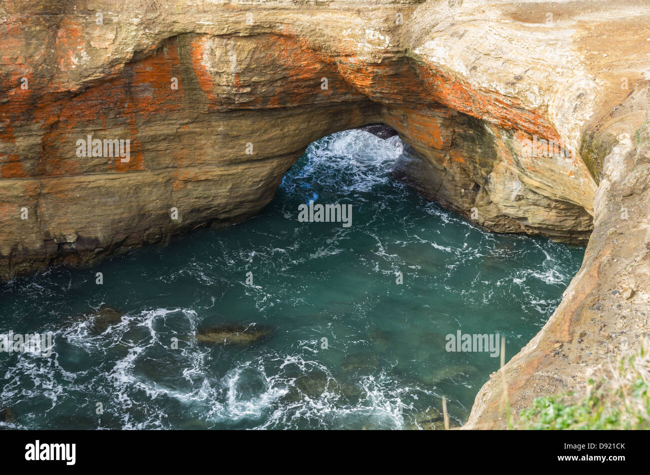 Oregon, Otter Rock, Devils Punch Bowl State Park. Water washes through Devil's Punchbowl rock ...
