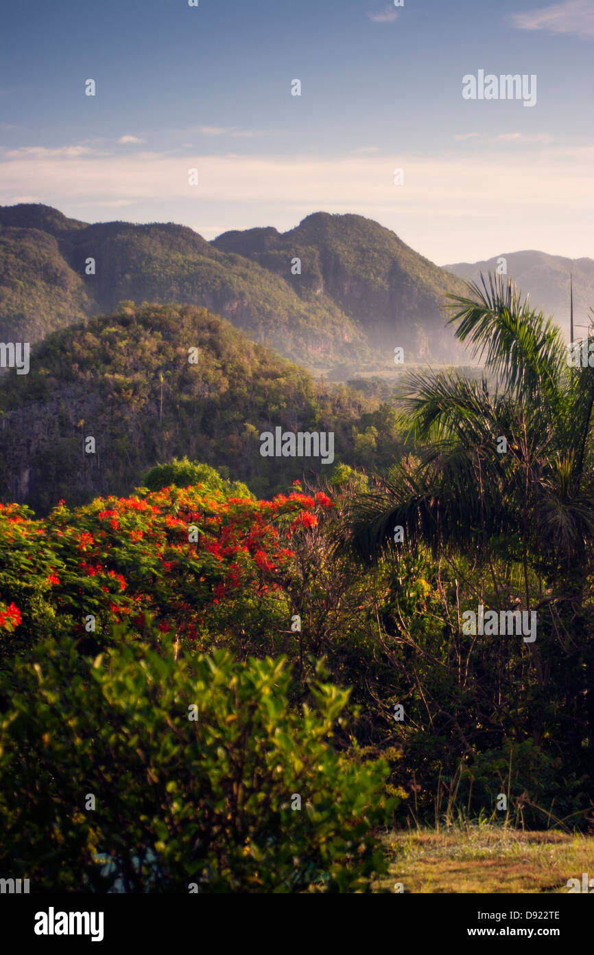 Vinales Valley; Pinar del Rio Stock Photo - Alamy