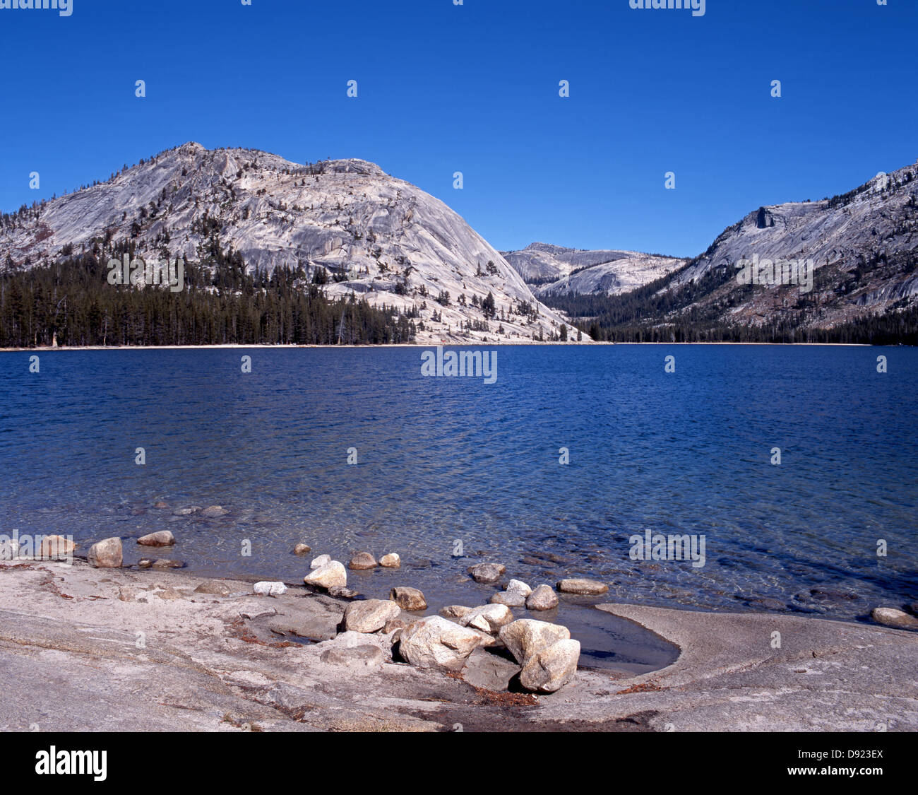Tenaya Lake, Yosemite National Park, California, USA Stock Photo - Alamy