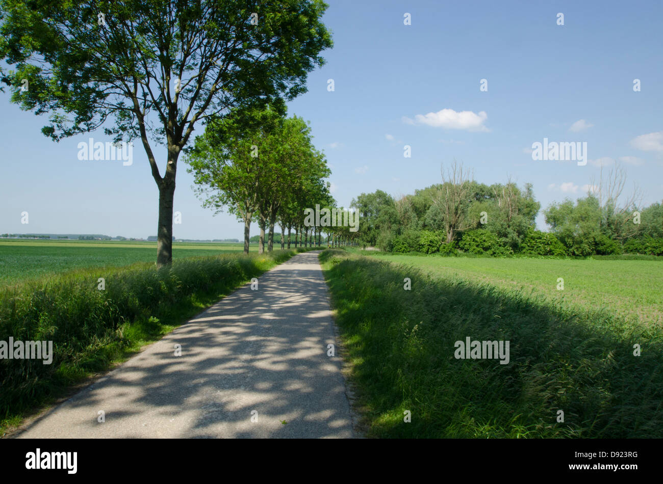 Typical Dutch country road Stock Photo - Alamy