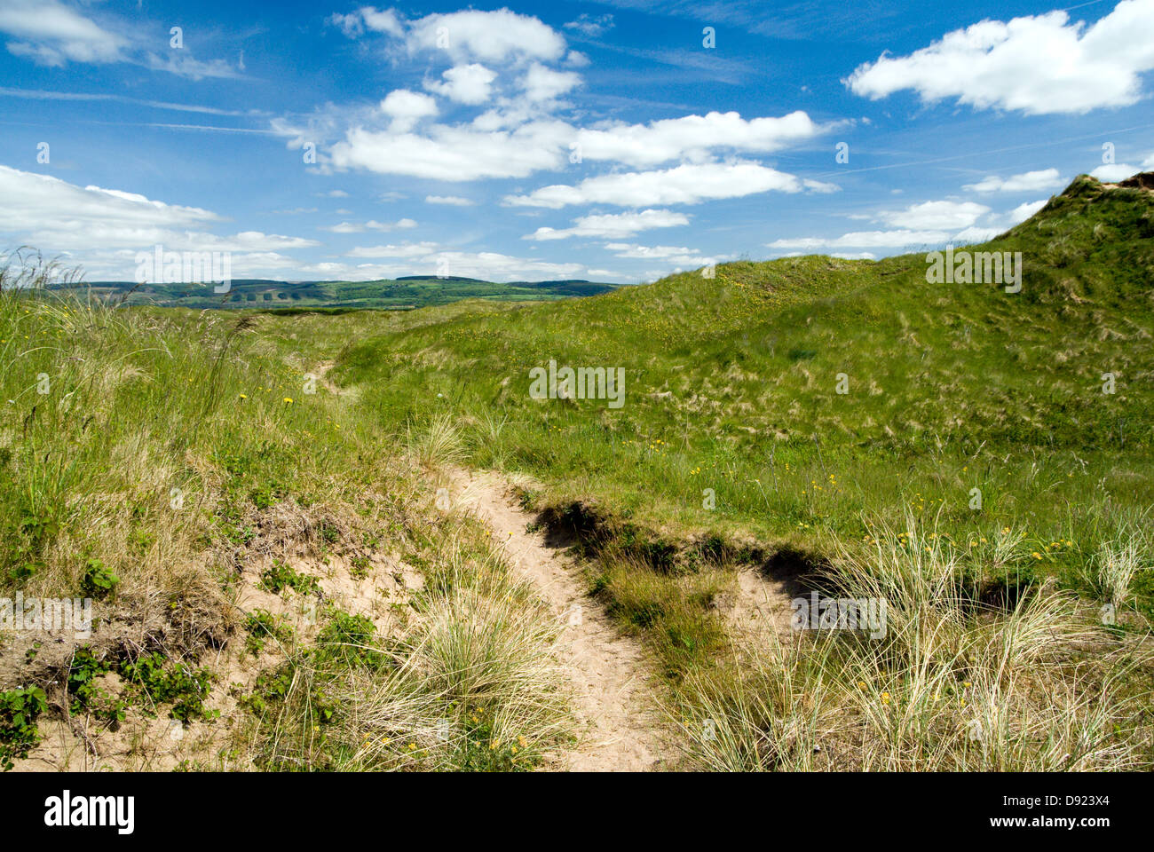 Sssi nnr national nature reserve kenfig porthcawl wales hi-res stock ...