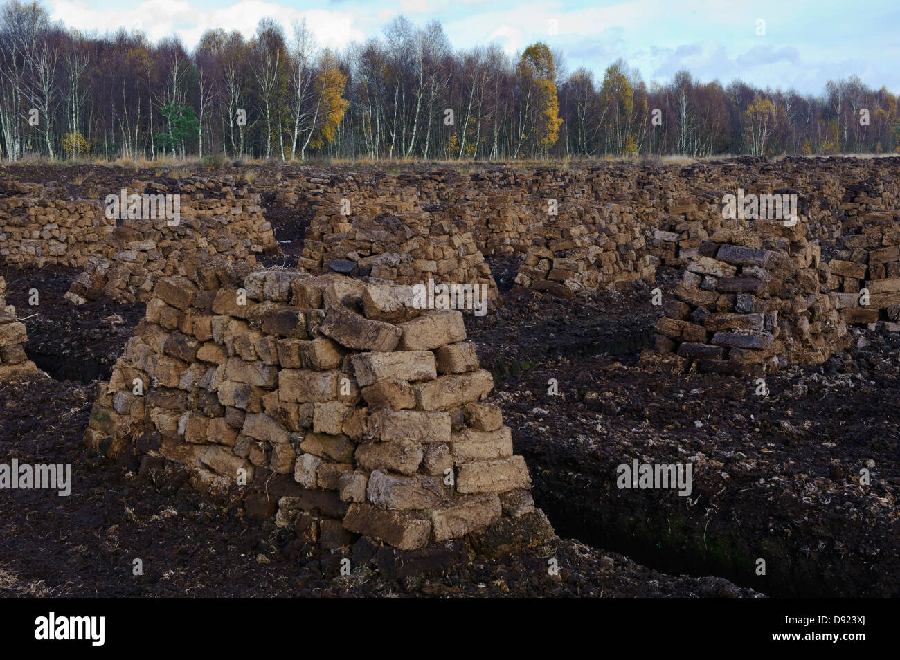Peat, turf, Torf, Torfabbau, Torfindustry, peat mining Stock Photo - Alamy