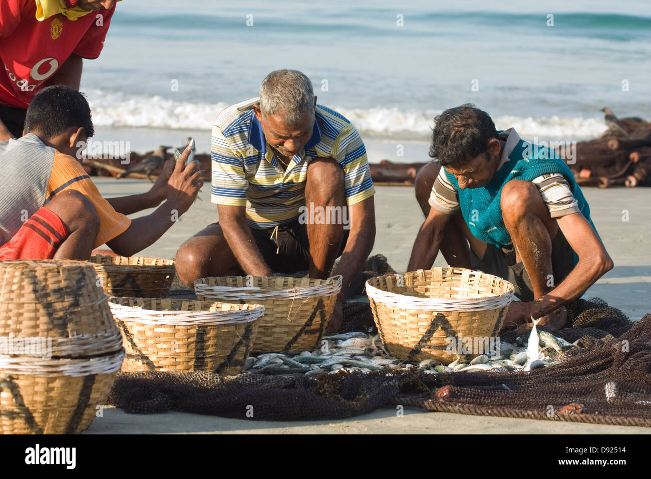 Asia, India, Goa, Benaulim, Fishermen sorting their catch Stock Photo ...
