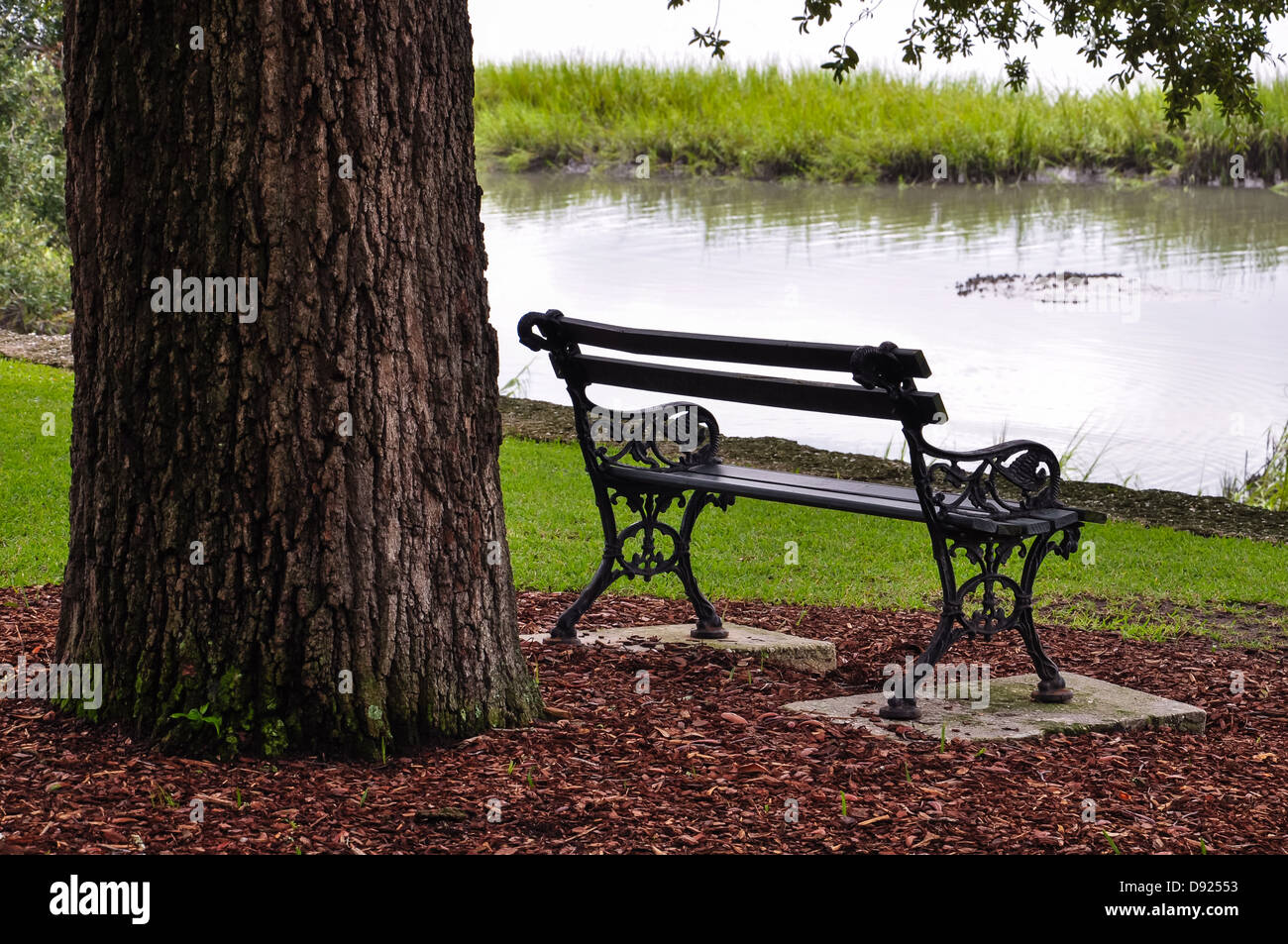 iron park bench under a tree next to a lake Stock Photo - Alamy