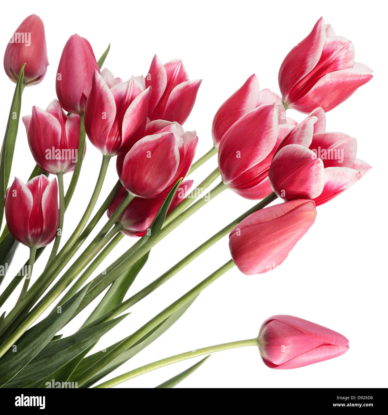 Big flowers bouquet isolated on white background Stock Photo - Alamy