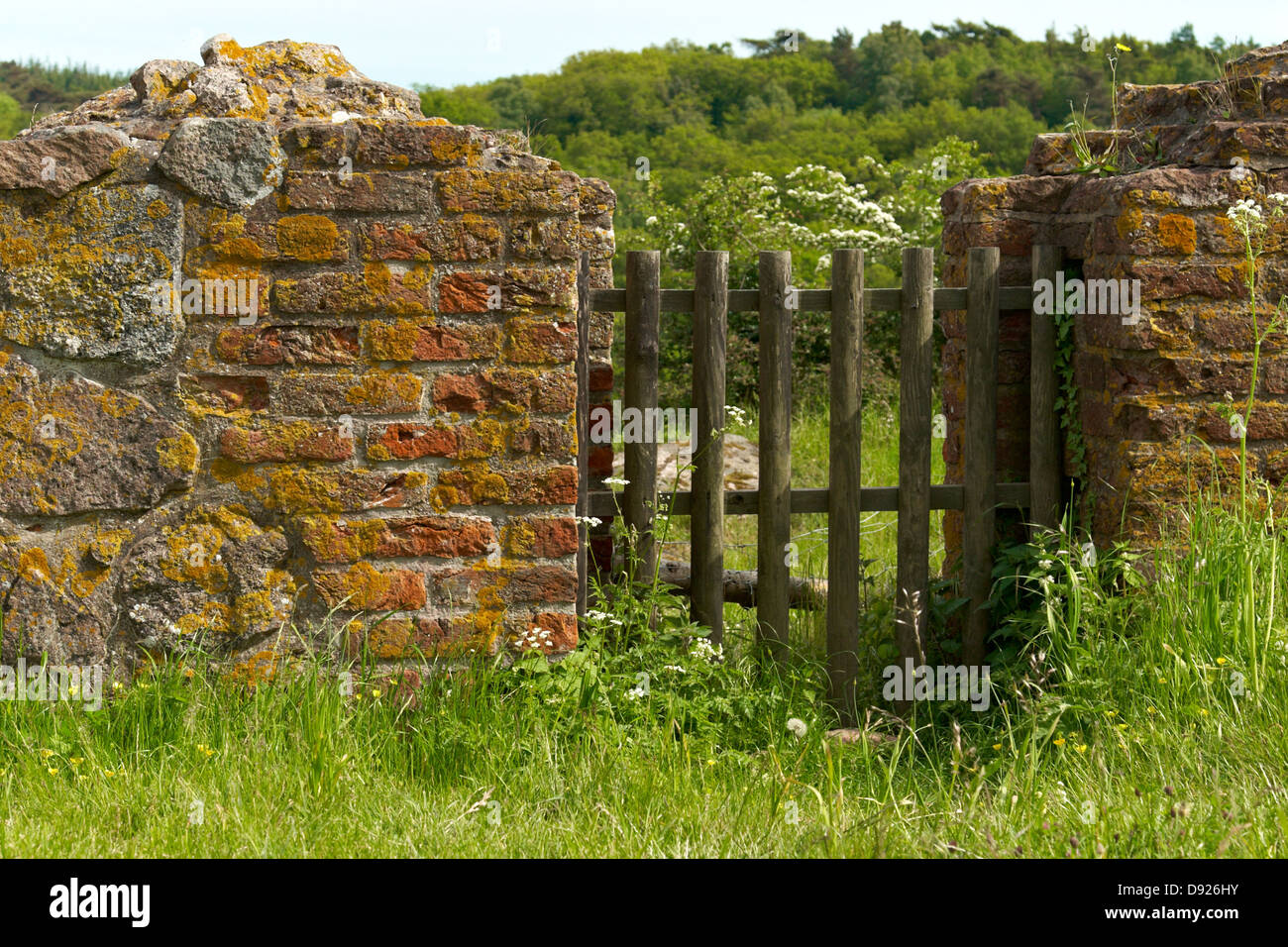 Old wood gate in the brick wall Stock Photo - Alamy