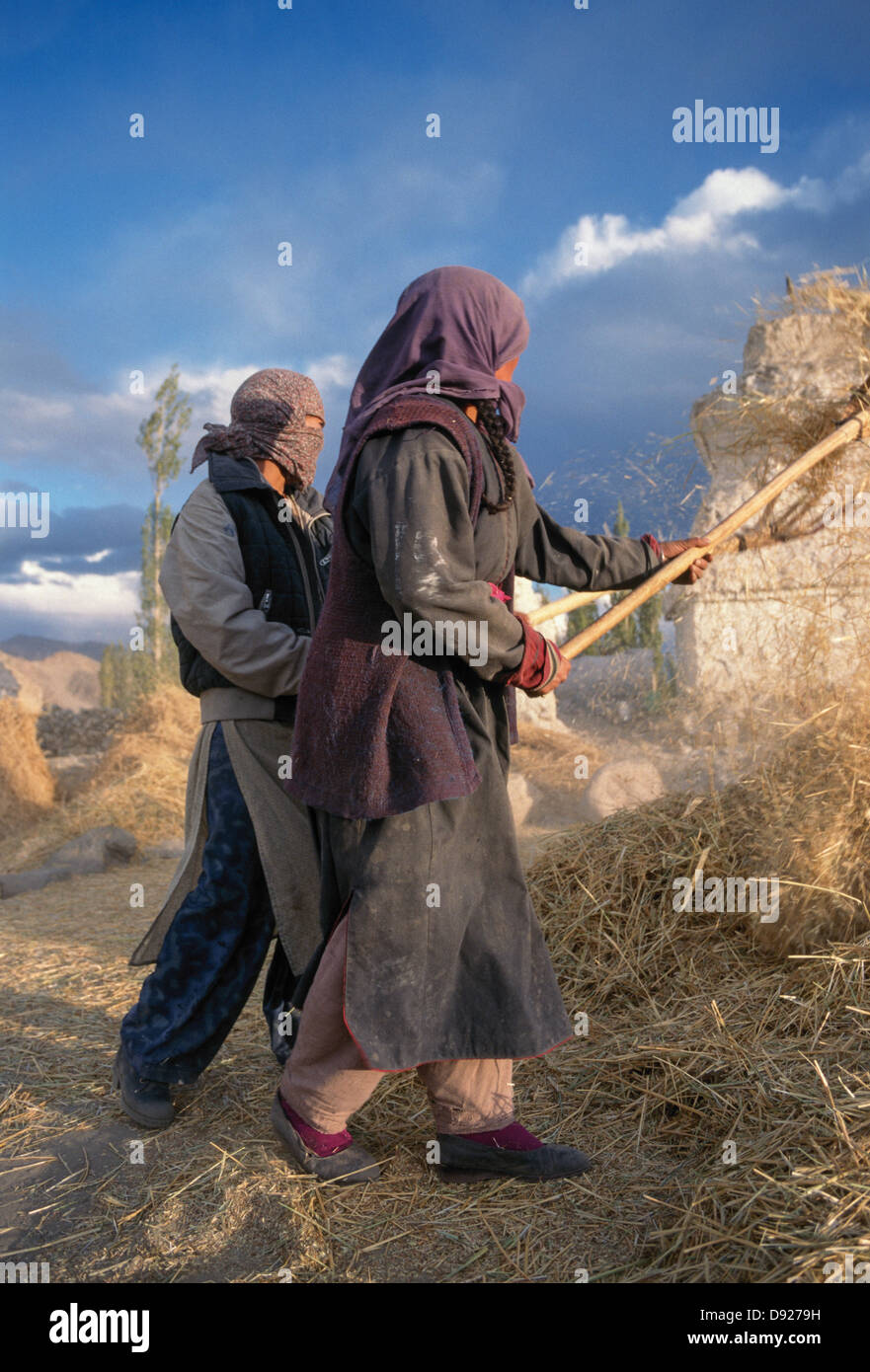 Winnowing barley hi-res stock photography and images - Alamy