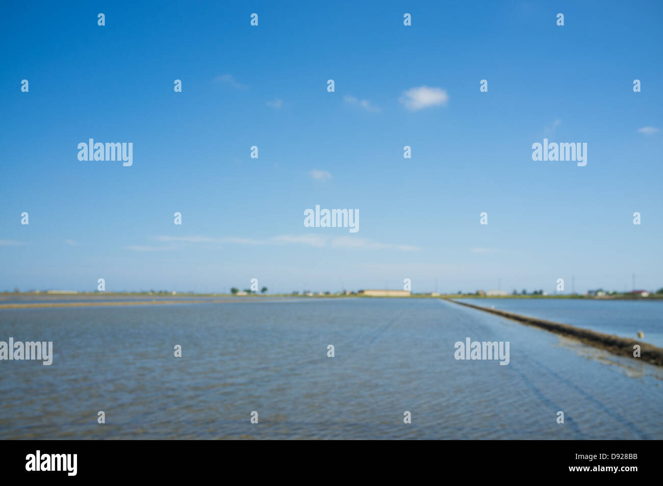 Ebro delta landscape with its traditional rice paddies Stock Photo - Alamy