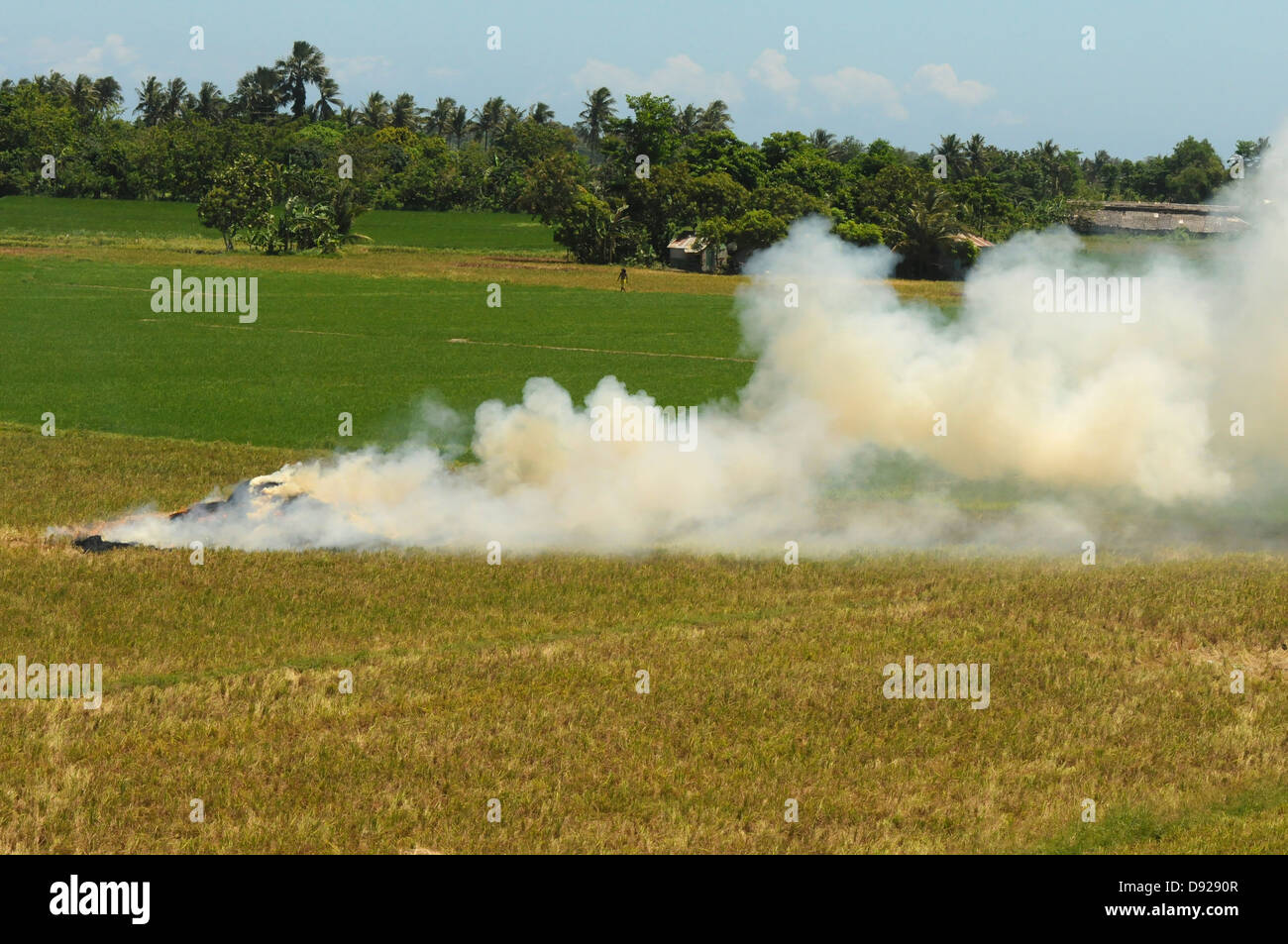 Smoke on the rice field. Sunny weather over Mindoro Island, Philippines ...