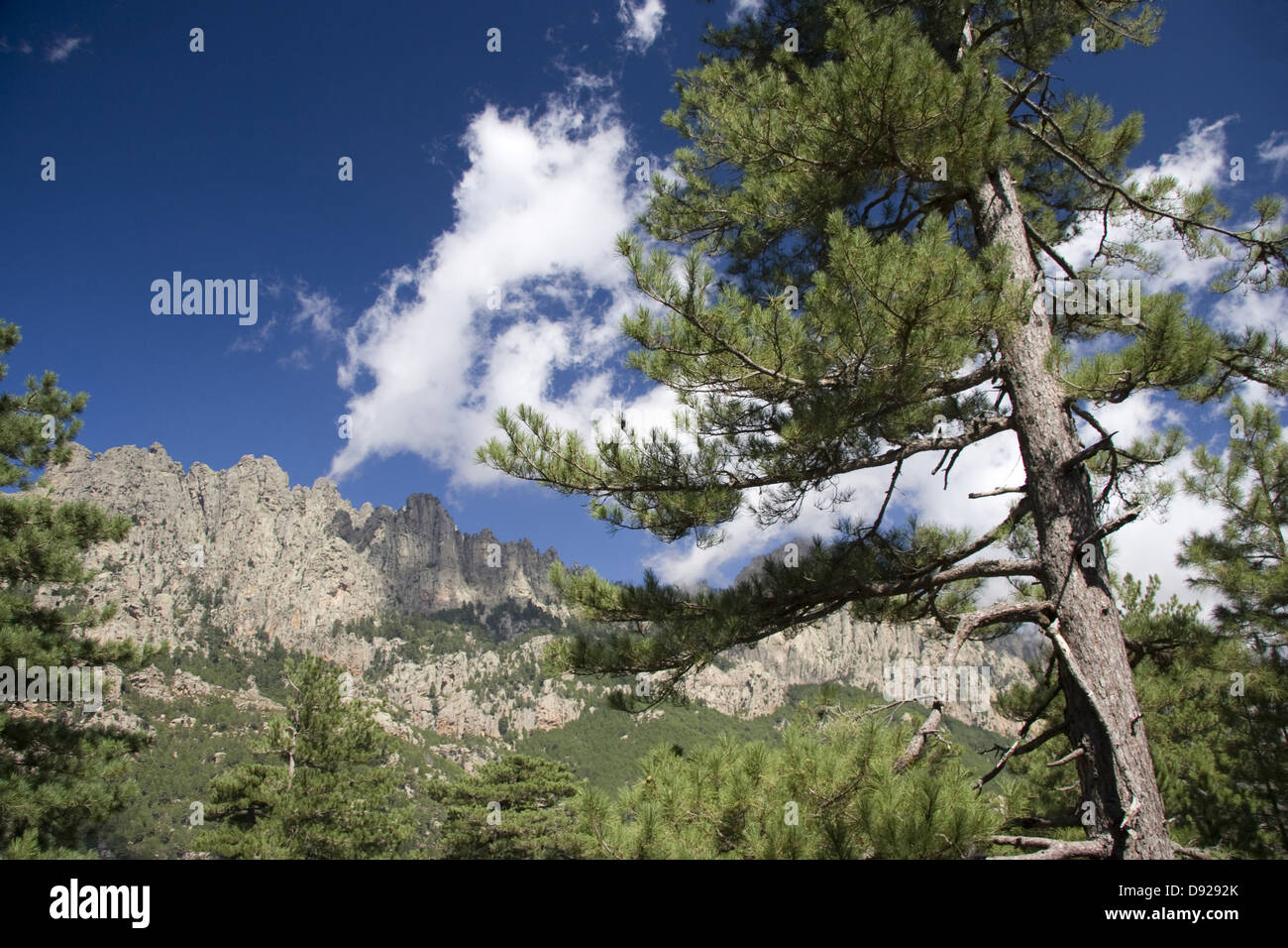 Aiguilles de Bavella, Corsica, France Stock Photo - Alamy