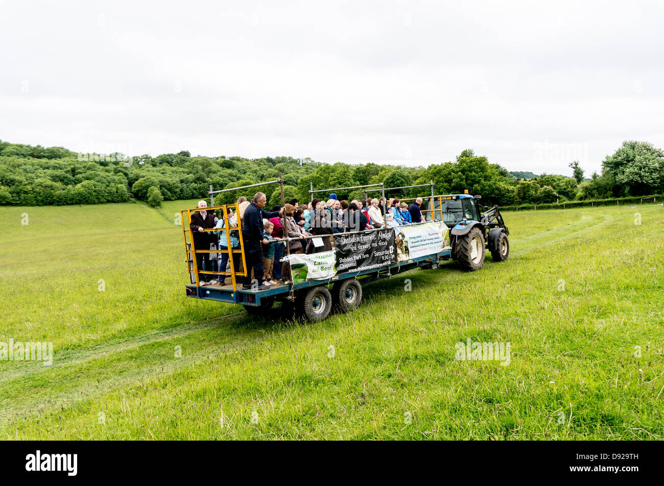 Surrey, UK. 9 June 2013. Open Farm Sunday at Shabden Farm, Chipstead ...