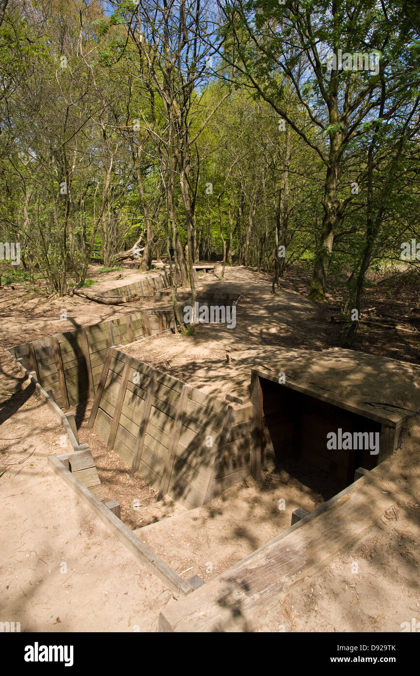 World war 2 trench hi-res stock photography and images - Alamy