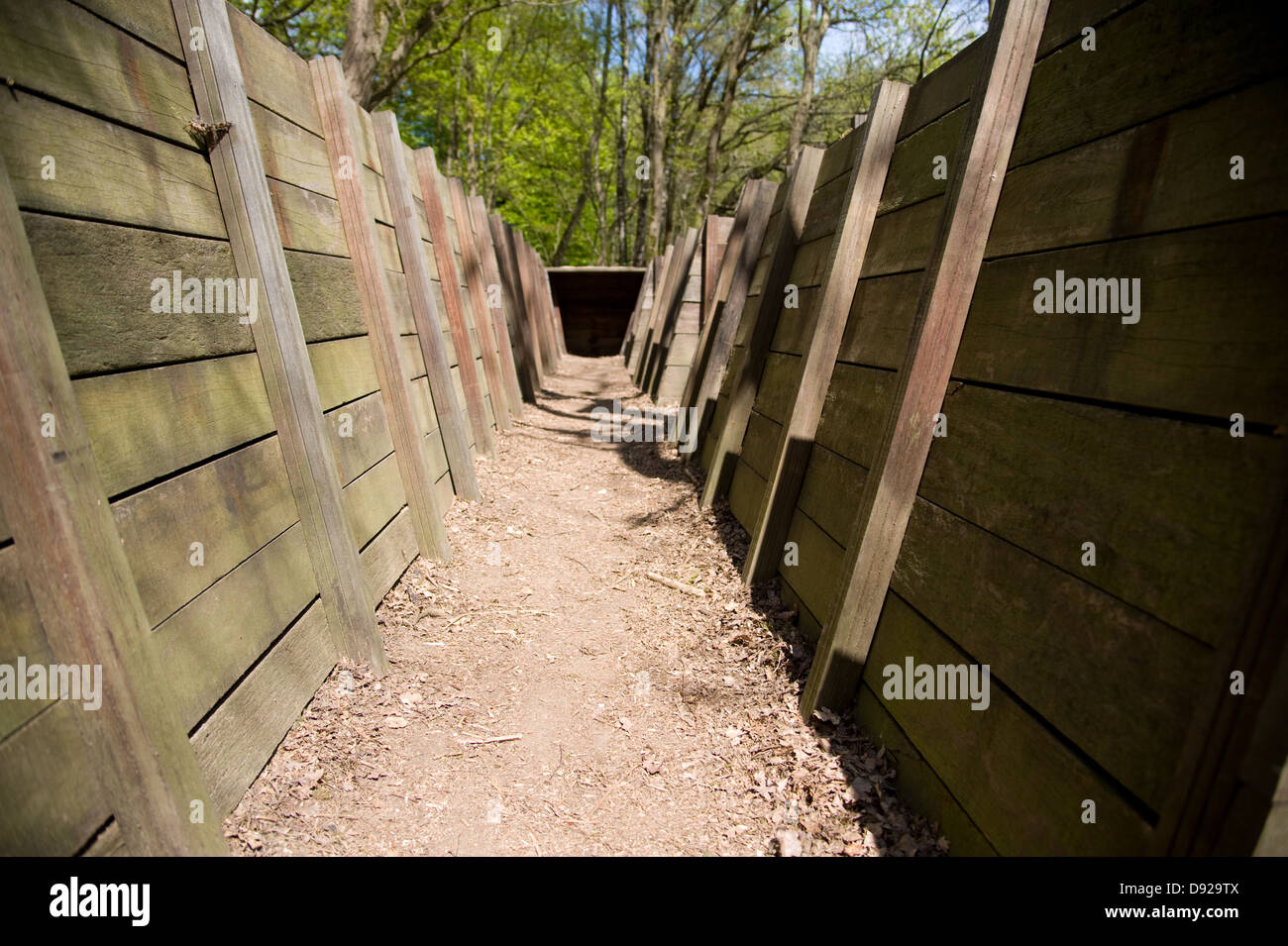 World war 2 trench hi-res stock photography and images - Alamy