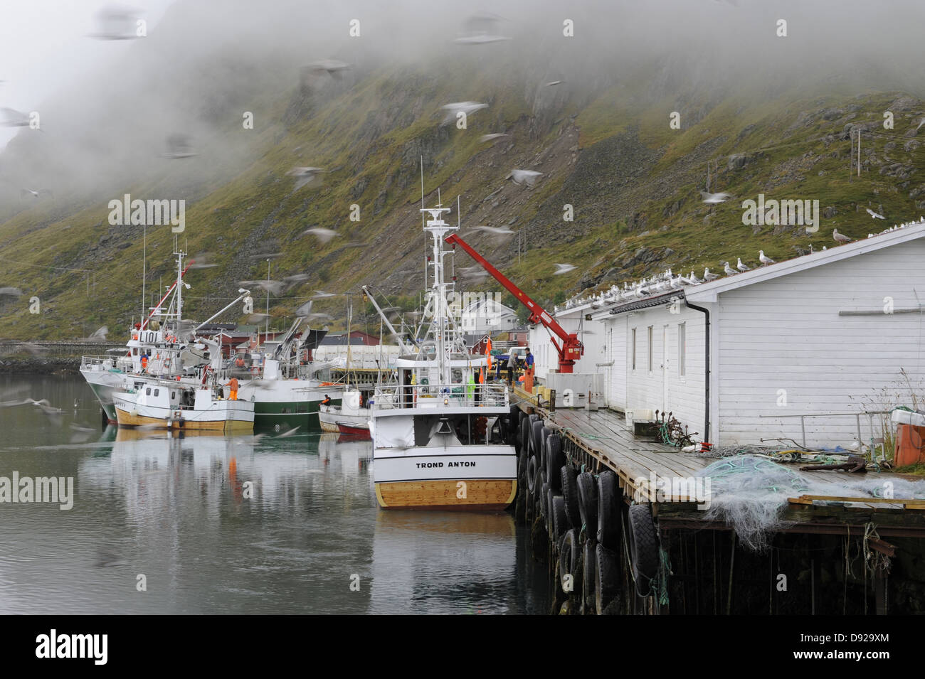 Fishing boats in Ballstad, Lofoten, Nordland, Norway Stock Photo - Alamy