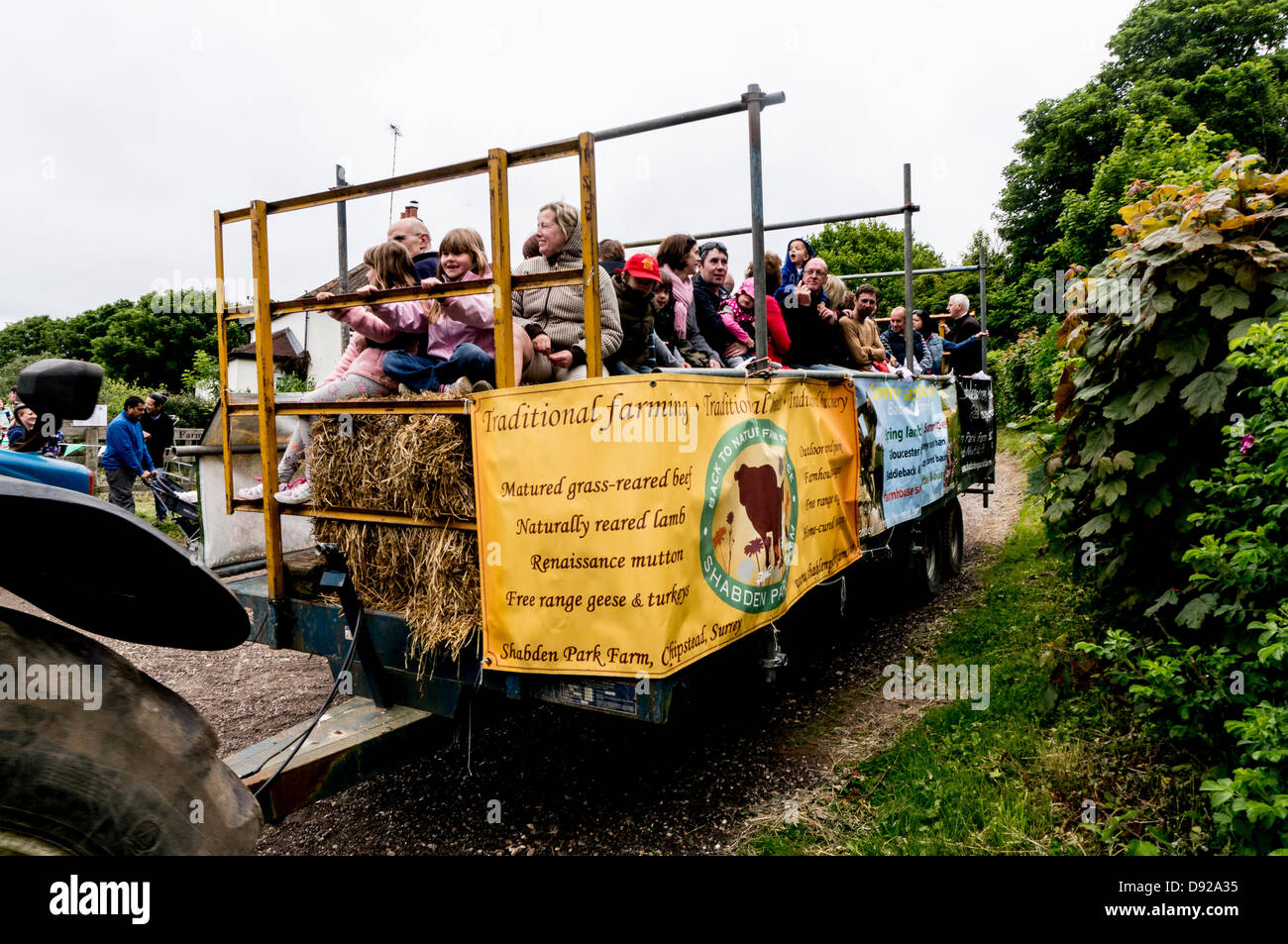 Surrey, UK. 9 June 2013. Open Farm Sunday at Shabden Farm, Chipstead ...