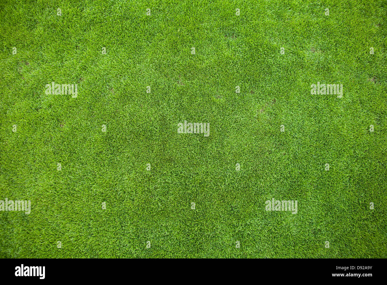 Green football pitch hi-res stock photography and images - Alamy