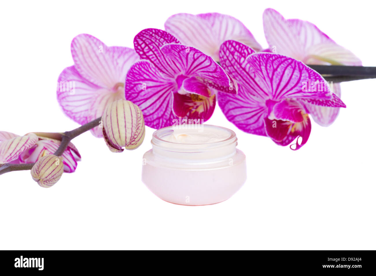 Orchid cream Cut Out Stock Images & Pictures - Alamy