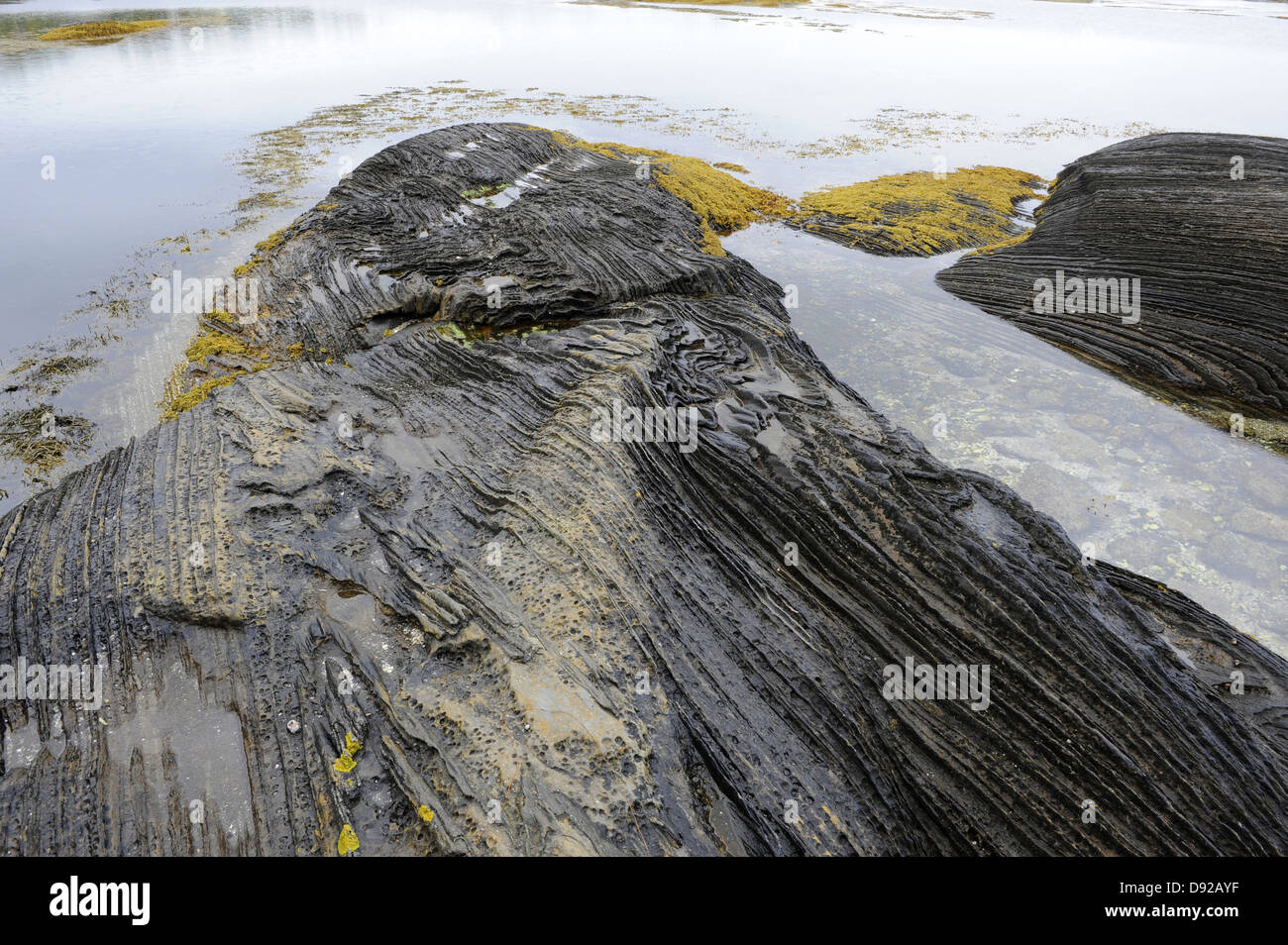 Rocks, Godøystraumen, Nordland, Norway Stock Photo - Alamy