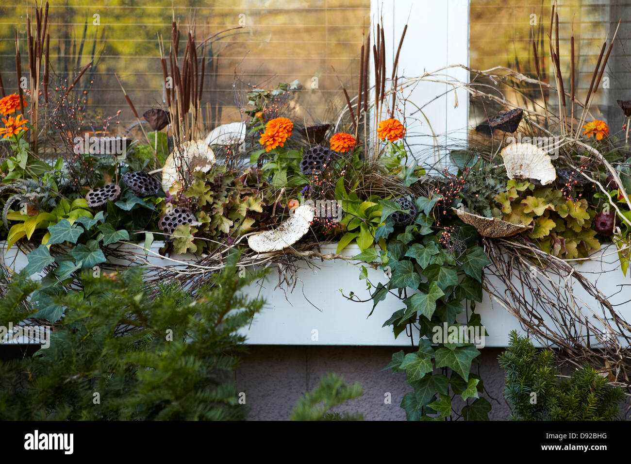Window_box hi-res stock photography and images - Alamy