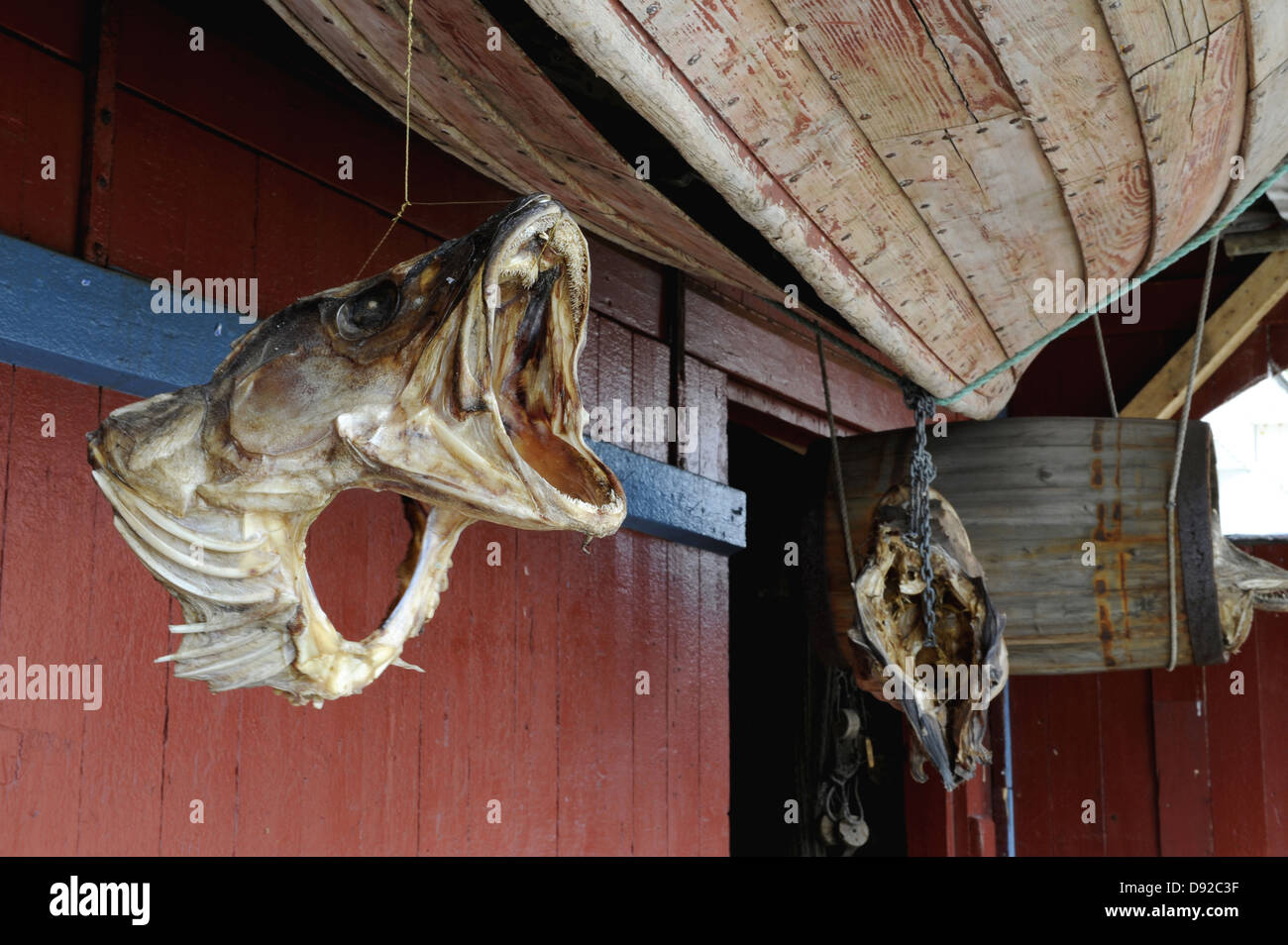 Stockfish museum hi-res stock photography and images - Alamy