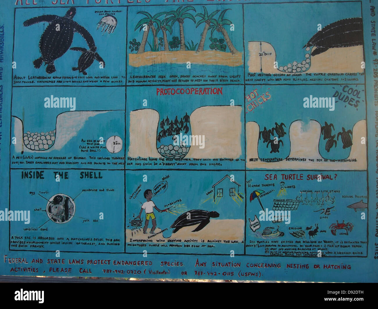 Sea turtle nesting sign Stock Photo - Alamy