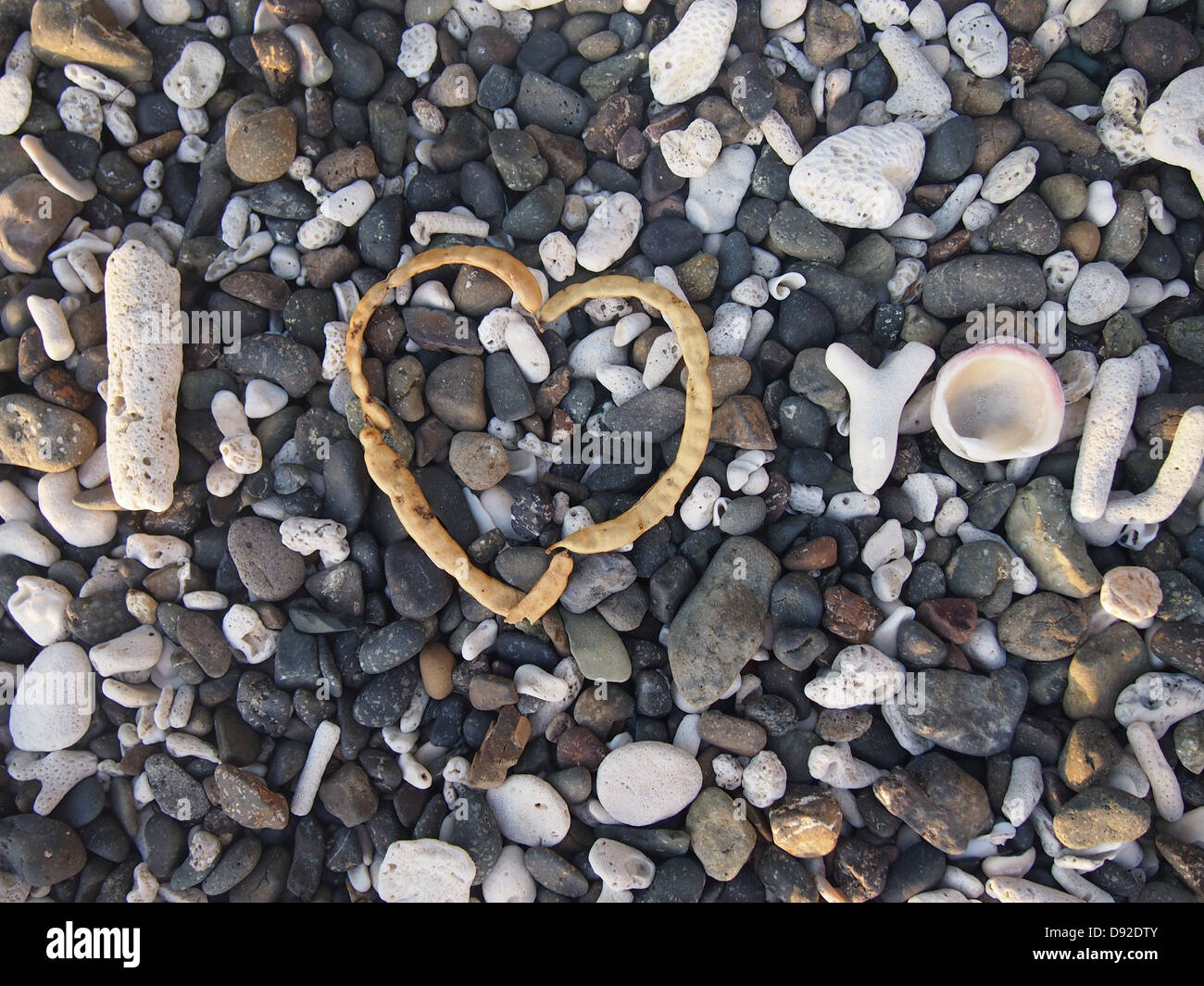 Love shells hi-res stock photography and images - Alamy