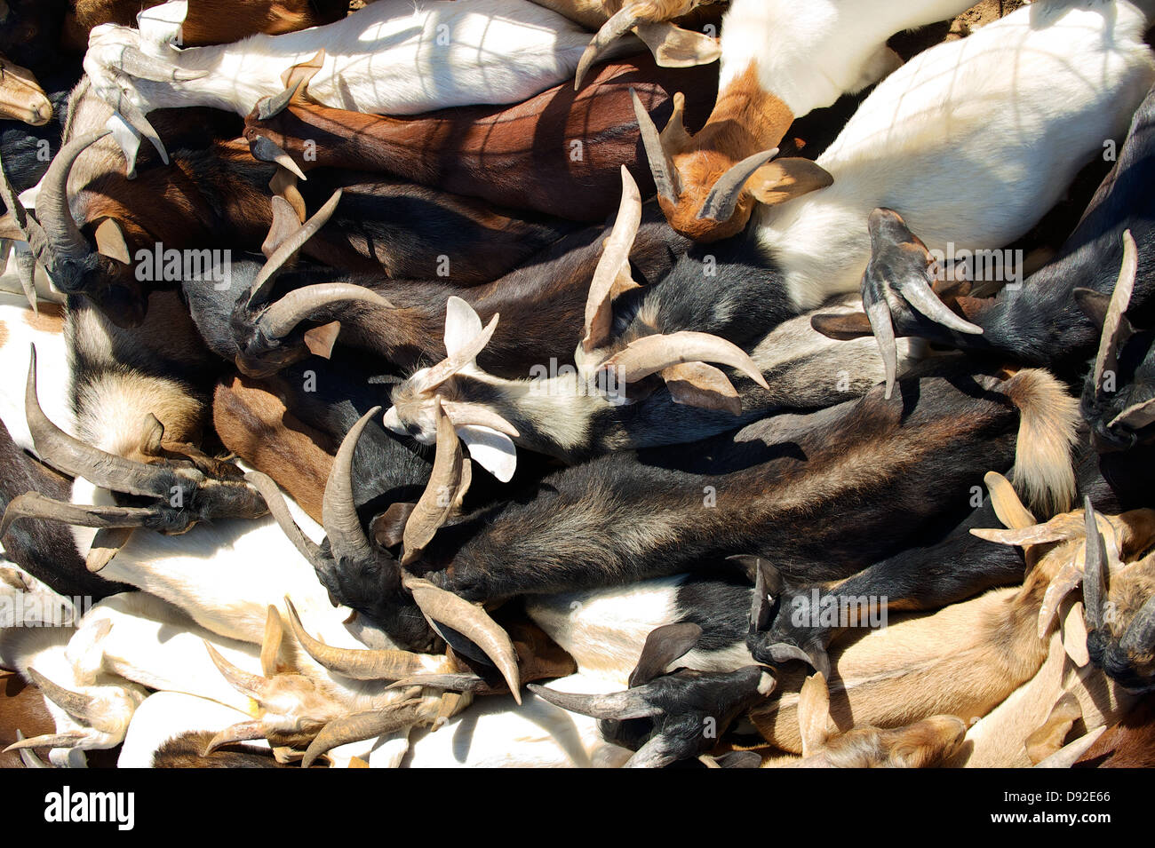 Crammed together hi-res stock photography and images - Alamy