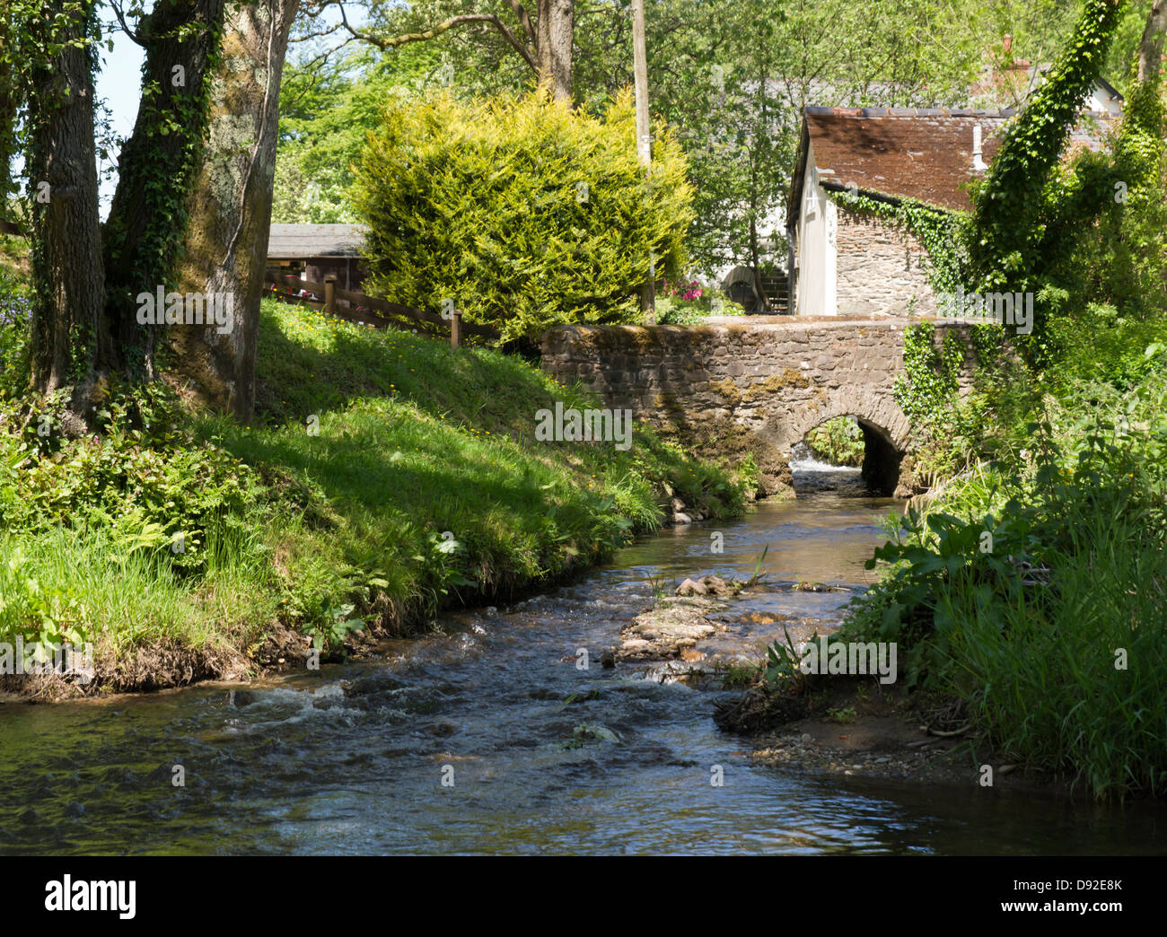 Dulverton Village High Resolution Stock Photography and Images - Alamy