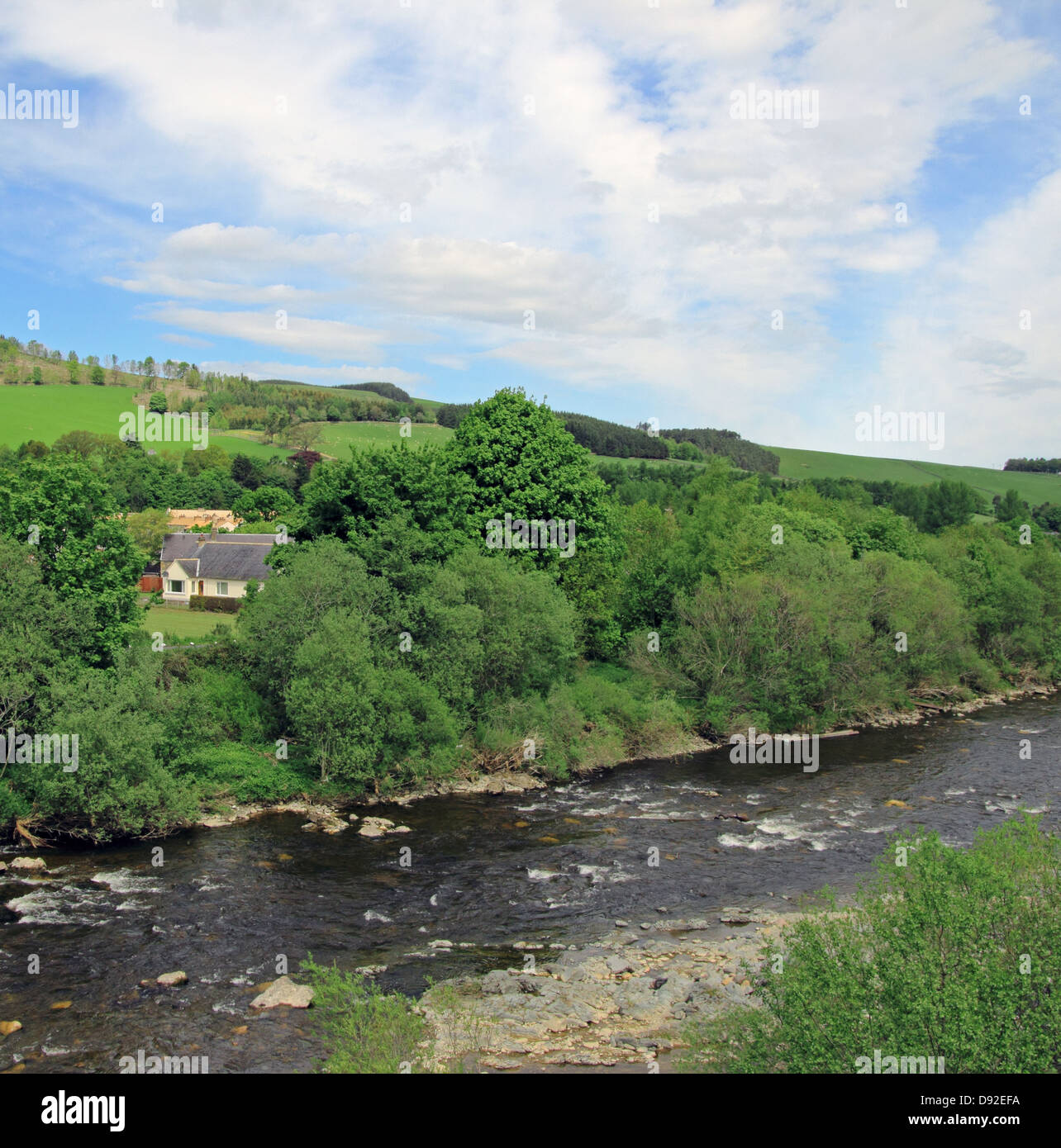 Scotland scottish borders ettrick valley hi-res stock photography and ...