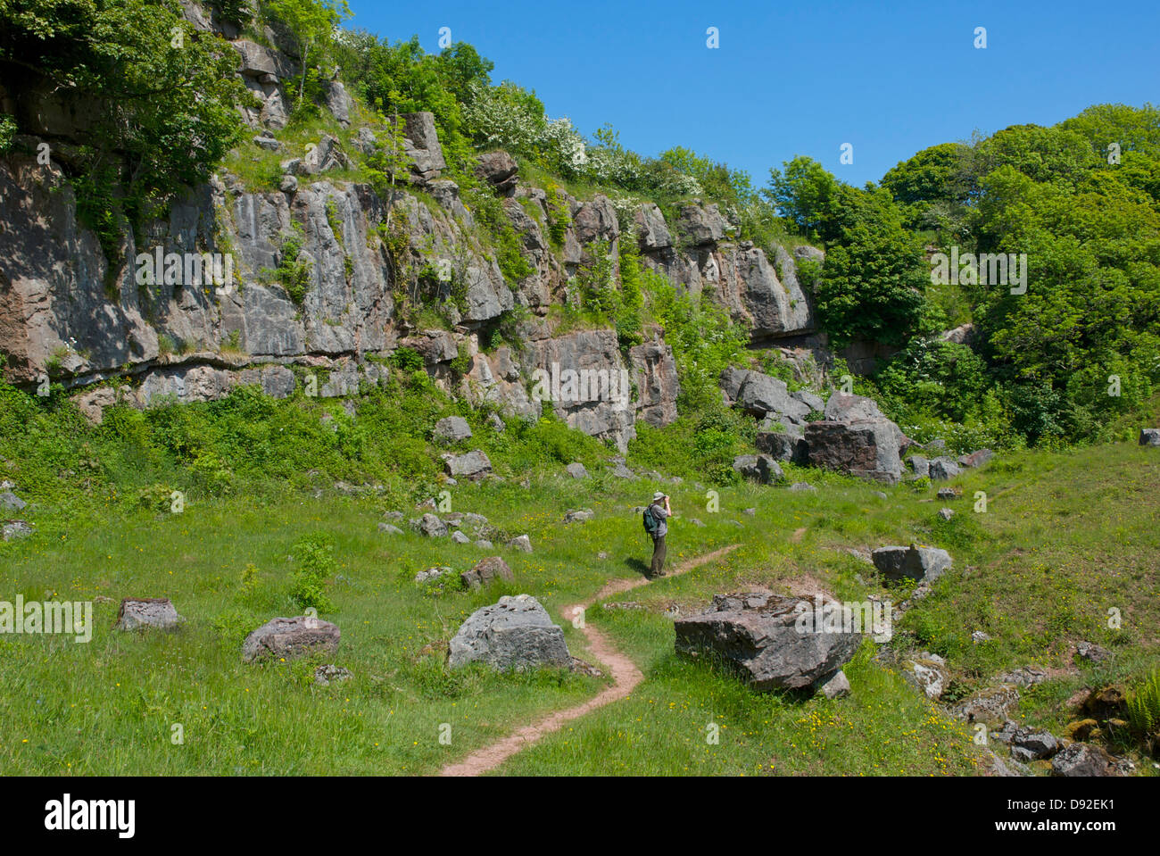 Clints Quarry, a Cumbria Wildlife Trust Nature Reserve near Egremont ...