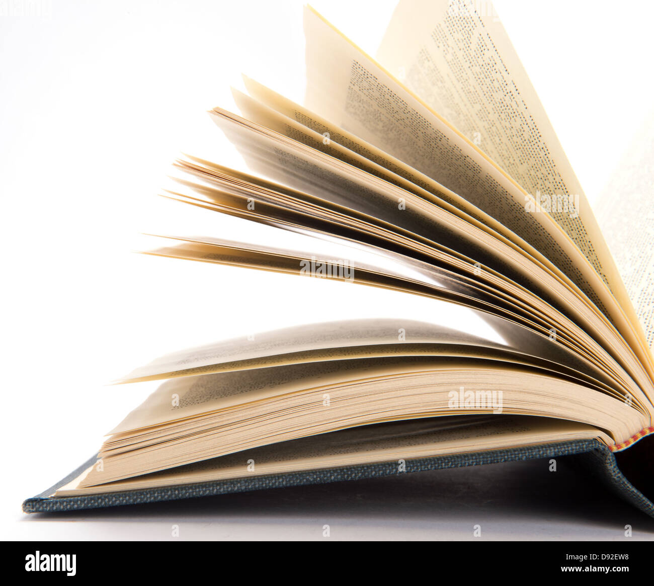 Closeup of the fanned pages of an antique book against white background ...