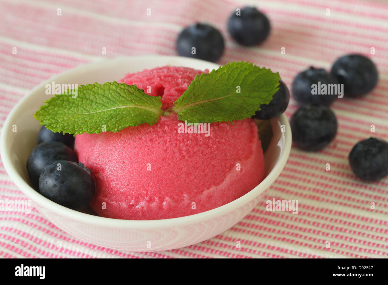 Forest fruit sorbet with fresh blueberries, close up Stock Photo - Alamy