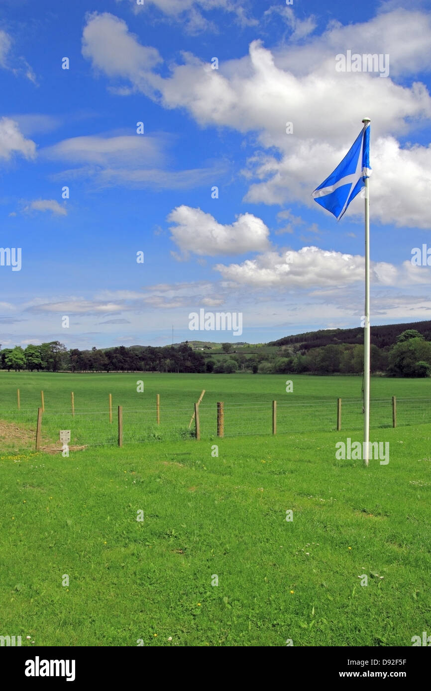 Scottish national flag hi-res stock photography and images - Alamy