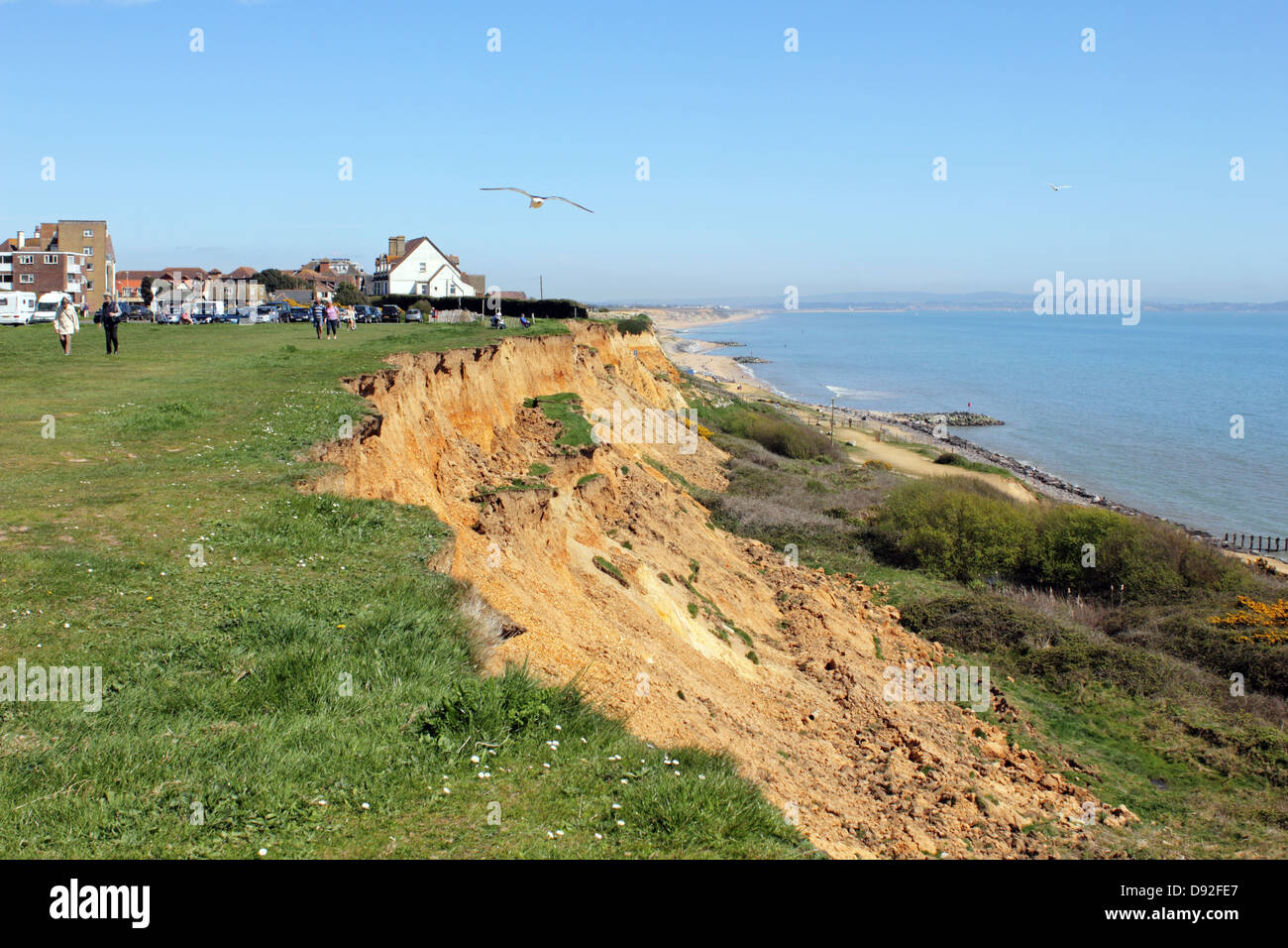 Cliff erosion at Barton on Sea, Hampshire, England UK Stock Photo - Alamy