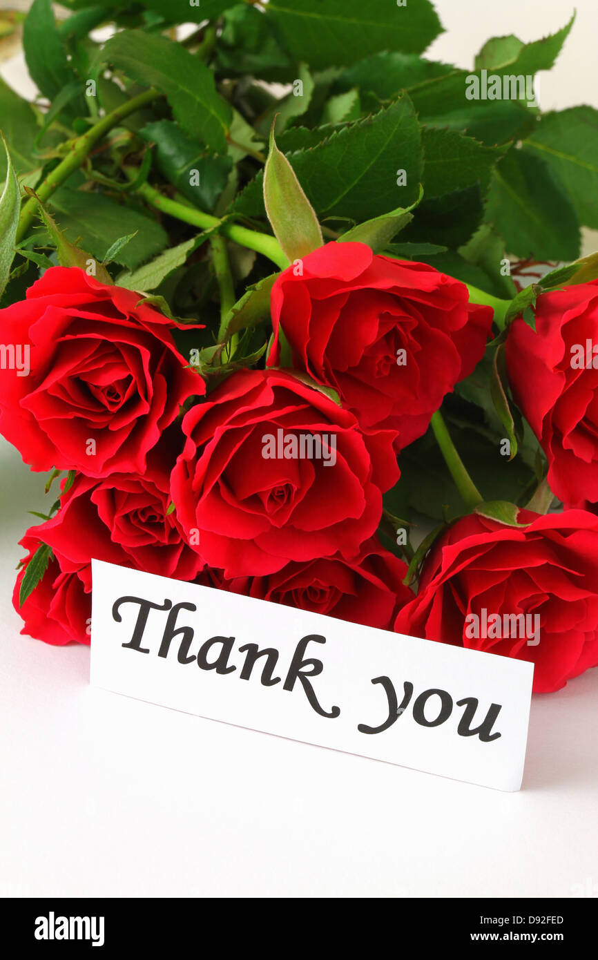Thank you note and red roses Stock Photo - Alamy
