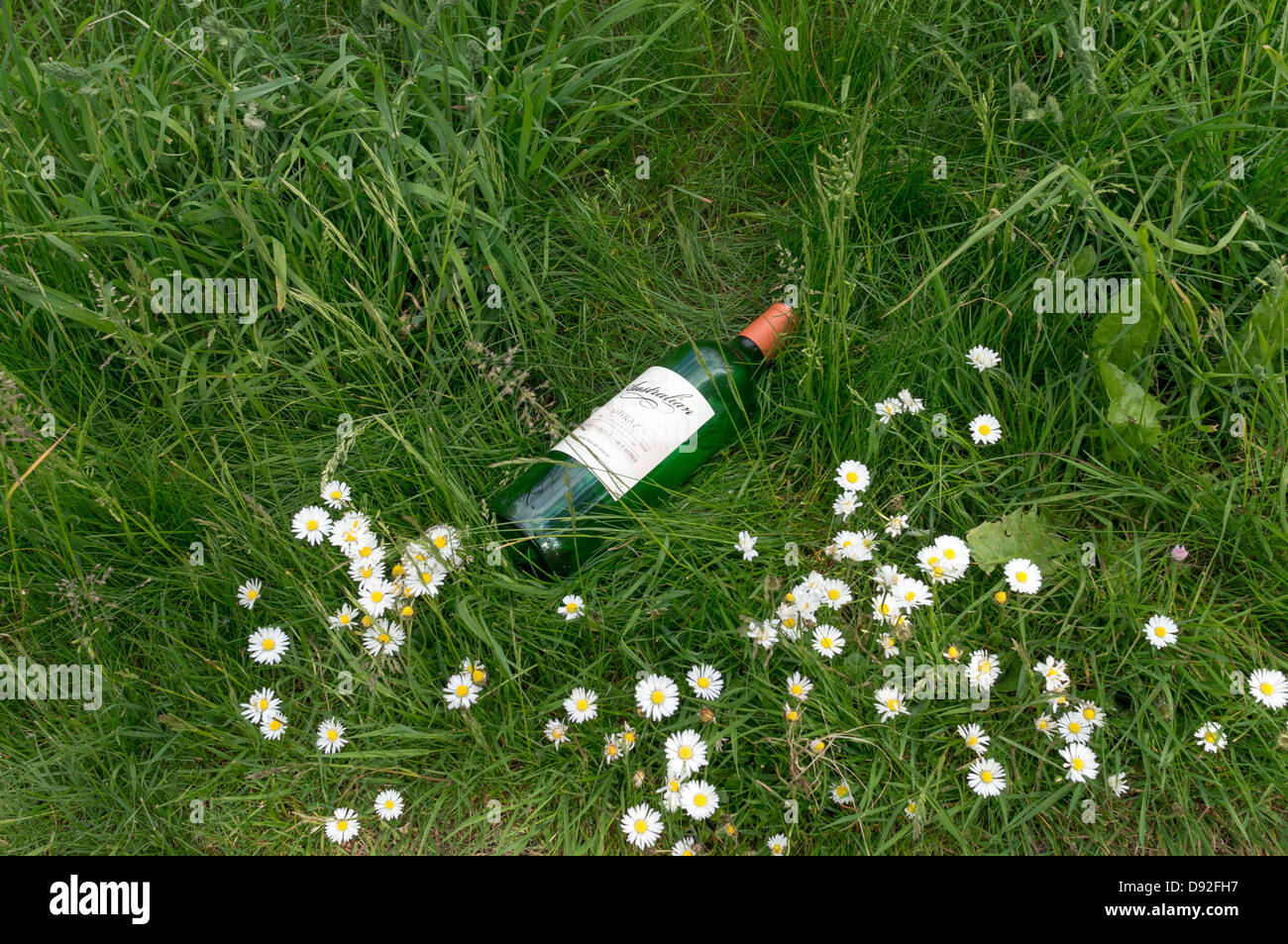 Empty wine bottle dumped in grass Stock Photo - Alamy