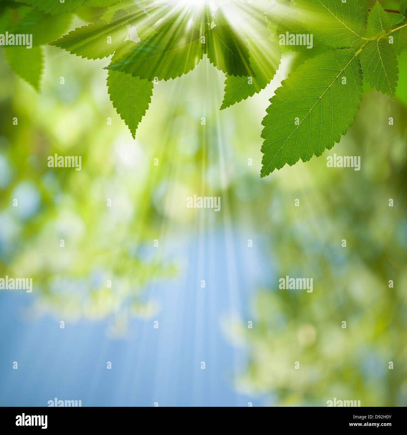 Beauty Summer Day. Abstract environmental backgrounds for your design ...