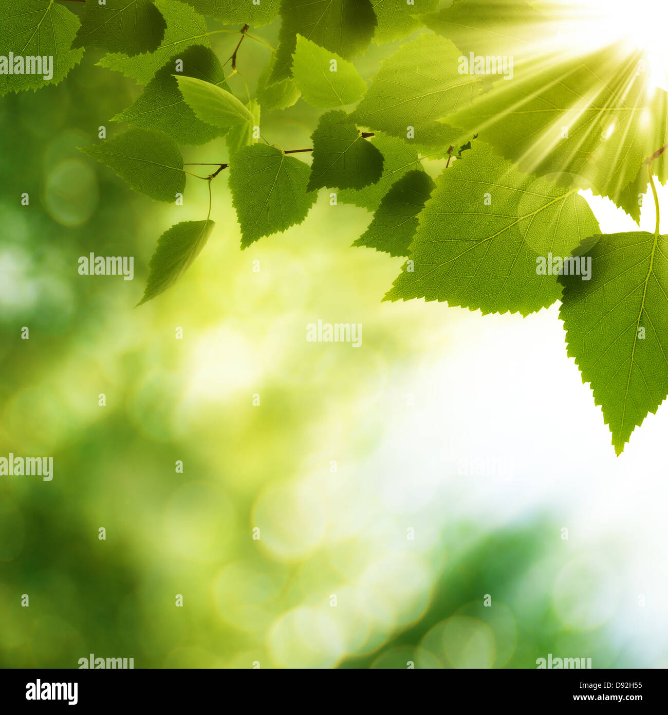 Beauty Summer Day. Abstract environmental backgrounds for your design ...