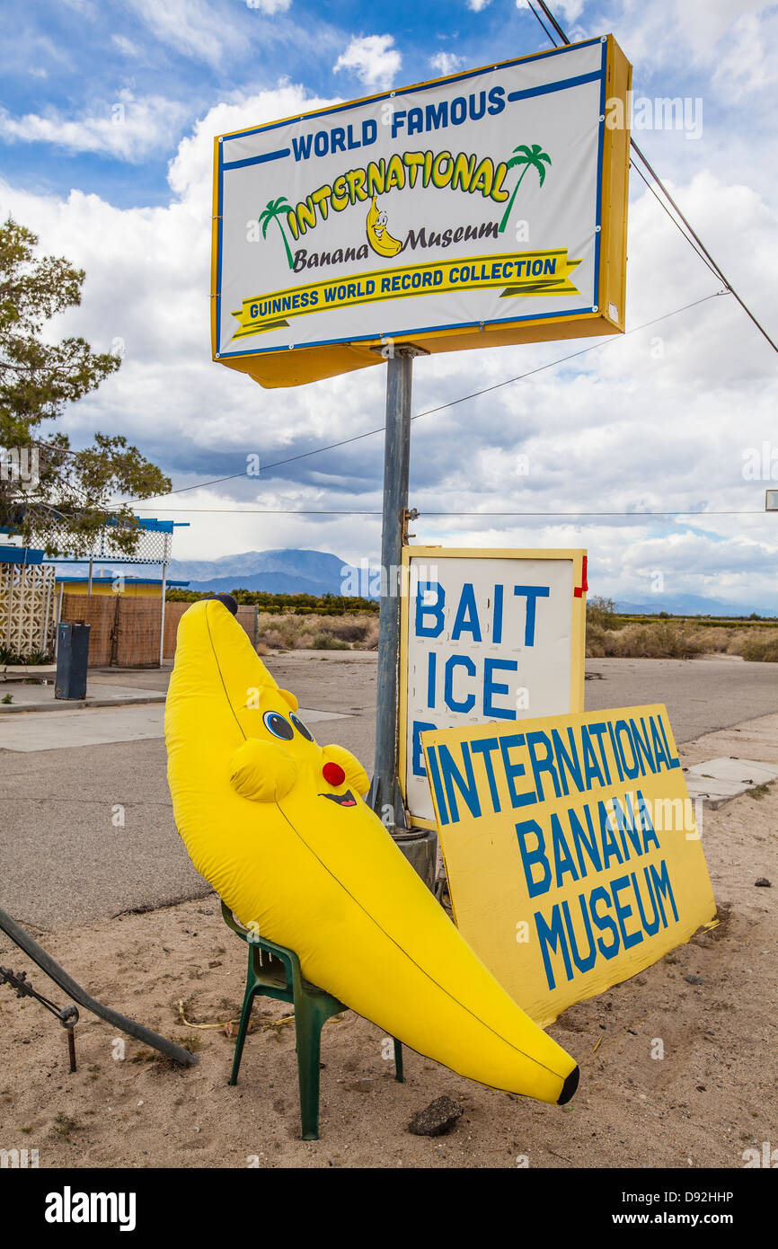 Worlds Largest Banana