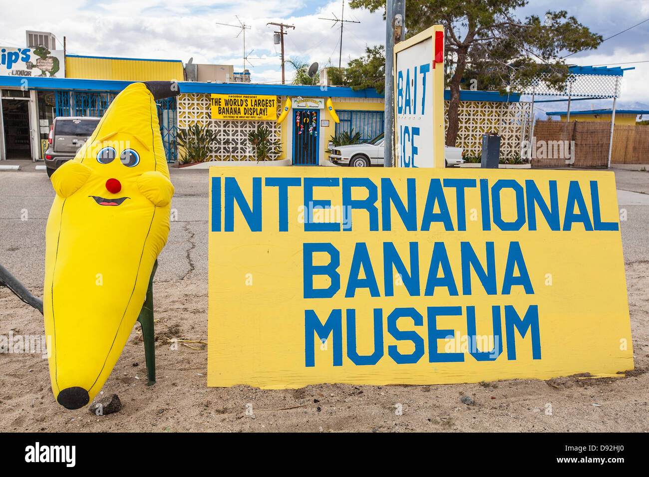 Worlds Largest Banana