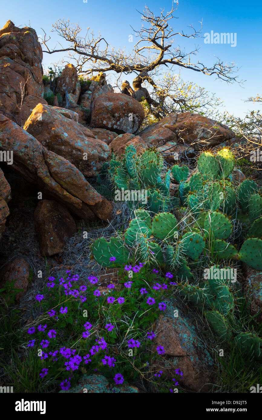 Elk Mountain in Wichita Mountains Wildlife Refuge, Oklahoma Stock Photo ...