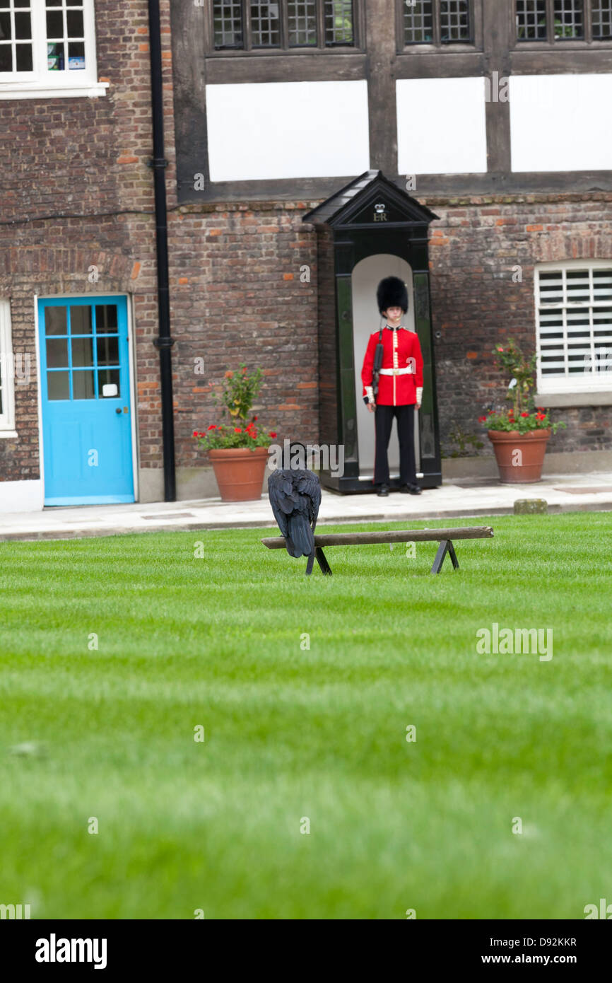 Welsh guard uniform hi-res stock photography and images - Alamy