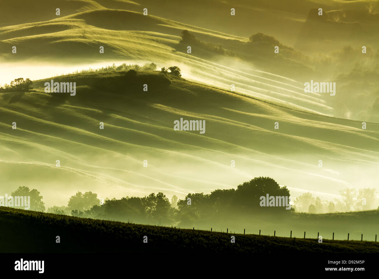 Morning fog in countryside Tuscany Stock Photo - Alamy