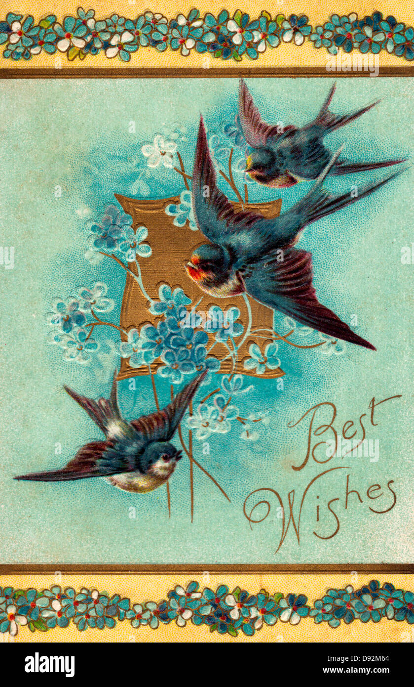 Vintage illustration of birds hi-res stock photography and images - Alamy