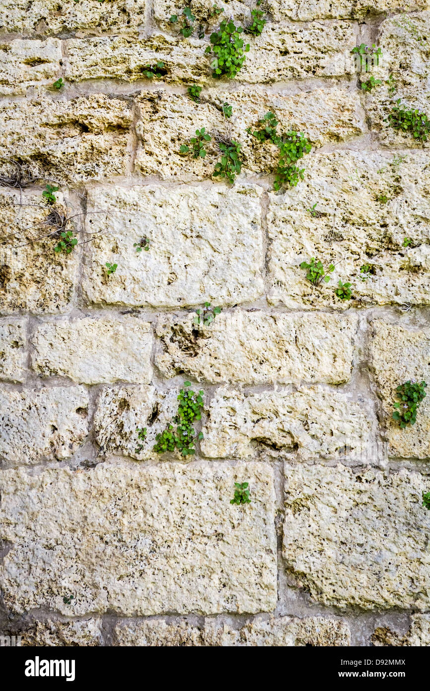 Grout boulder hi-res stock photography and images - Alamy