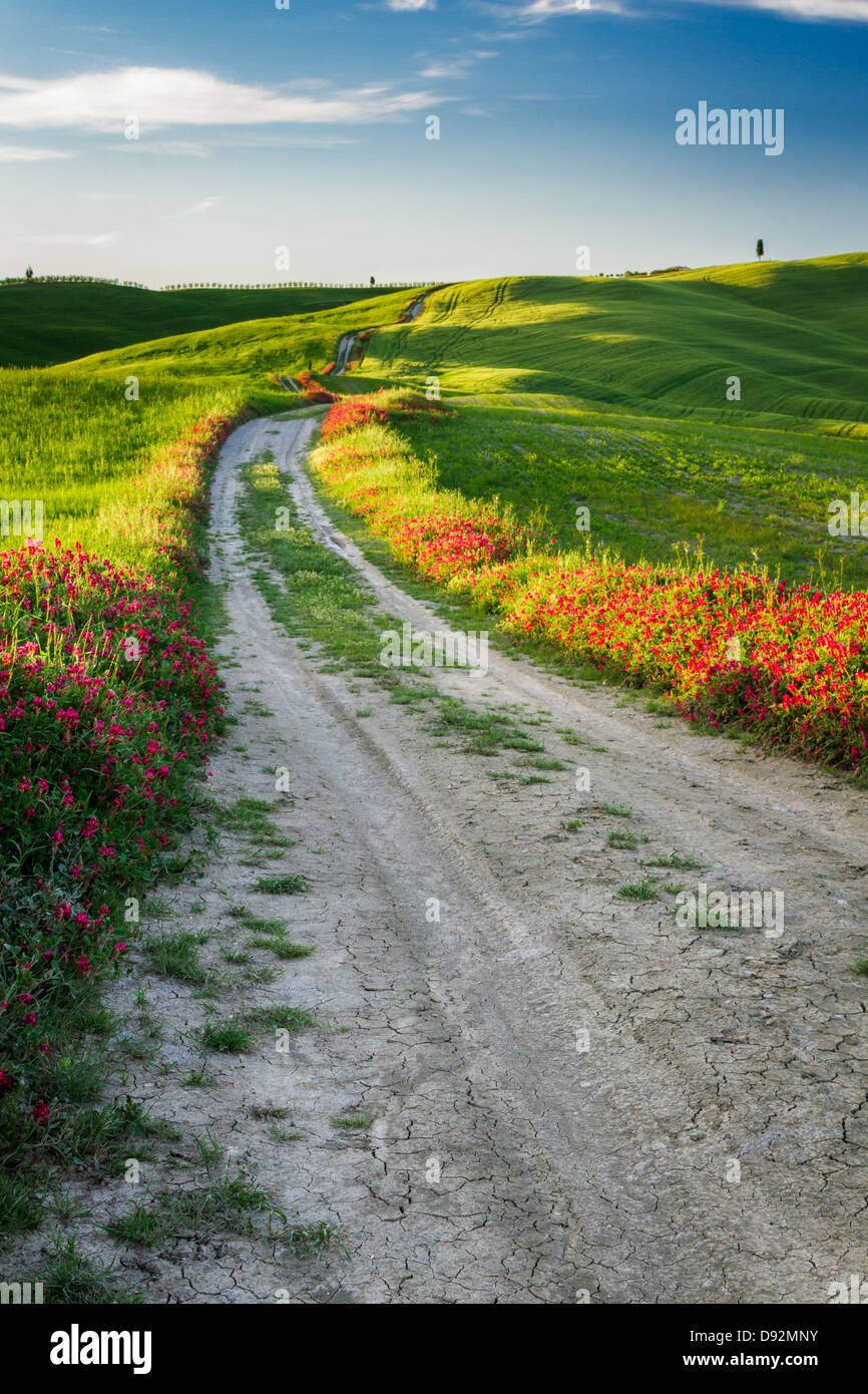 Tortuous path hi-res stock photography and images - Alamy