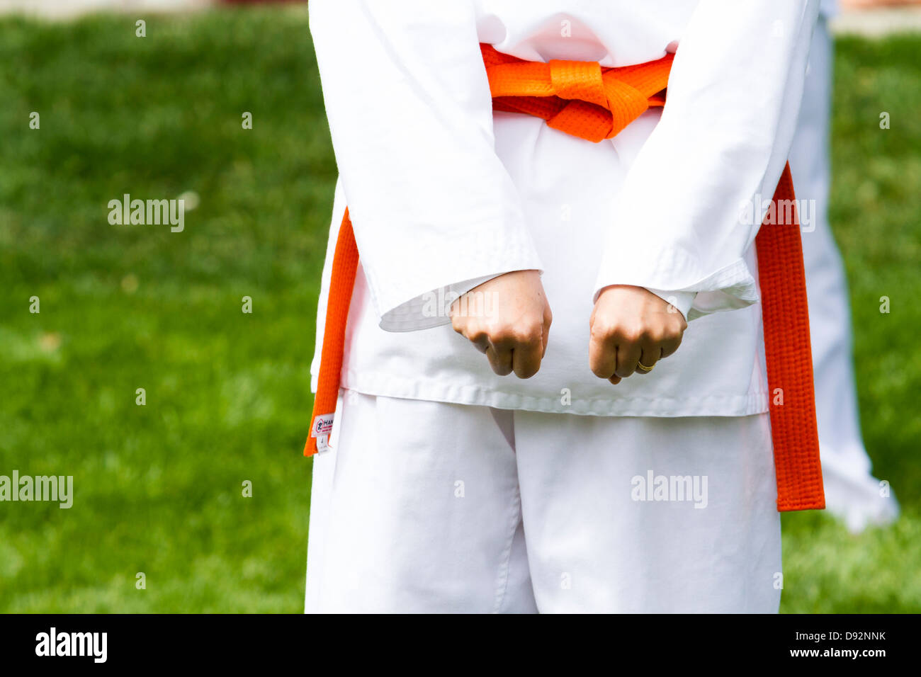 Tae Kwon Do student practicing in the park Stock Photo - Alamy