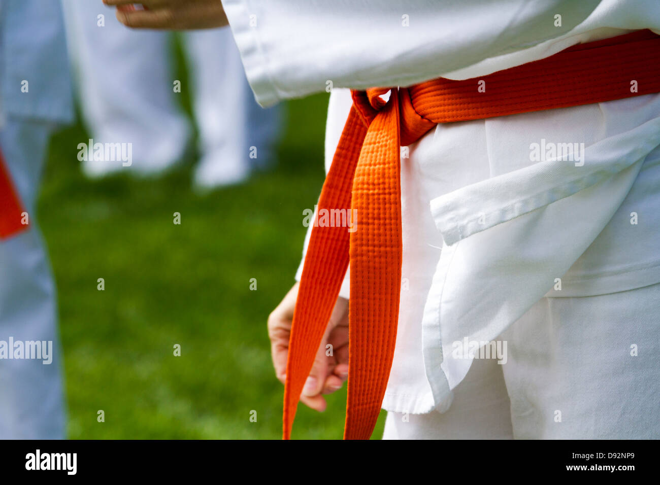 Tae Kwon Do student practicing in the park Stock Photo - Alamy